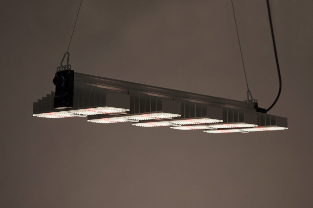LED Grow Light SANlight EVO 5-100 - SANlight Americas