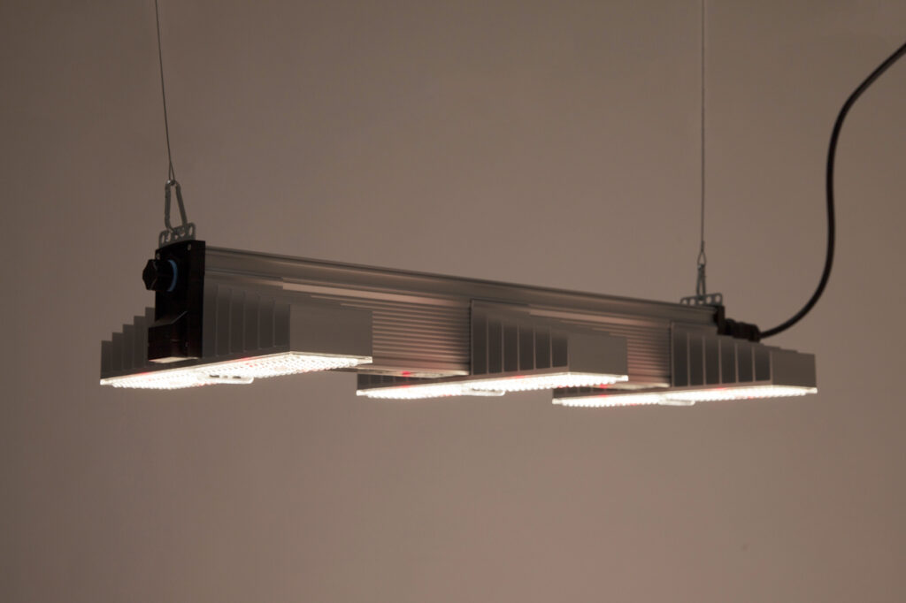 LED Grow Light SANlight EVO 3-80 - The most trusted Grow LED