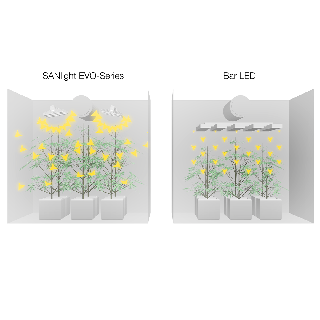 Homogenious Light & Deep Light Penetration - SANlight Americas
